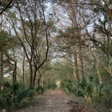 Fort Drum Marsh Loop, Florida - 81 Reviews, Map | AllTrails