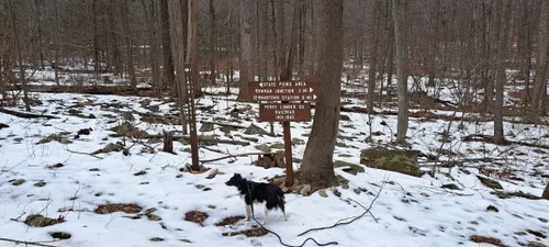 Best Hikes and Trails in Big Spring State Park | AllTrails