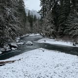 Staircase Rapids Loop, Washington - 2,370 Reviews, Map | AllTrails