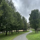 Yerrabi Pond Loop, Australian Capital Territory, Australia - 229 ...