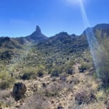 Weavers Needle Loop Trail, Arizona - 566 Reviews, Map | AllTrails