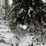 Heybrook Ridge via Leovy Trail, Washington - 1,517 Reviews, Map | AllTrails