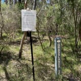 Gresswell Forest Loop, Victoria, Australia - 309 Reviews, Map | AllTrails