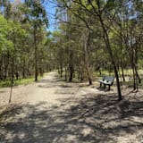 Gresswell Forest Loop, Victoria, Australia - 309 Reviews, Map | AllTrails