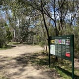 Gresswell Forest Loop, Victoria, Australia - 309 Reviews, Map | AllTrails