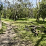Gresswell Forest Loop, Victoria, Australia - 309 Reviews, Map | AllTrails