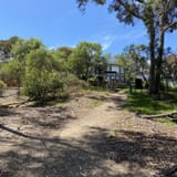 Gresswell Forest Loop, Victoria, Australia - 309 Reviews, Map | AllTrails
