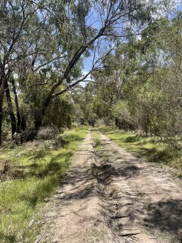 Best 10 Hiking Trails in Devilbend Natural Features Reserve | AllTrails