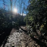 Mouse Creek Falls via Big Creek Trail, Tennessee - 2,563 Reviews, Map ...