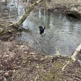 Anchorage Trail, Kentucky - 765 Reviews, Map | AllTrails