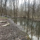 Anchorage Trail, Kentucky - 765 Reviews, Map | AllTrails