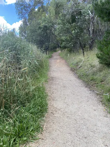 Best Hikes and Trails in Lake Canobolas Reserve | AllTrails