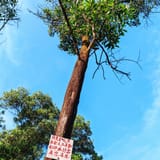 Bukit Serdang Trail, Selangor, Malaysia - 339 Reviews, Map | AllTrails