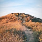 Turtle Rock Trail, California - 611 Reviews, Map | AllTrails