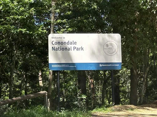 Best Hikes and Trails in Imbil State Forest 1 | AllTrails