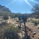 Picketpost Loop via Arizona Trail and L.O.S.T Trail, Arizona - 1,364 ...
