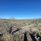 Picketpost Loop via Arizona Trail and L.O.S.T Trail, Arizona - 1,364 ...