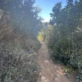 Inspiration Point, California - 3,782 Reviews, Map | AllTrails