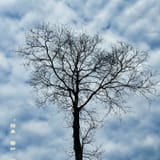 Kemensah - Bukit Pau Extended Trail, Selangor, Malaysia - 401 Reviews ...