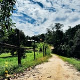Kemensah - Bukit Pau Extended Trail, Selangor, Malaysia - 401 Reviews ...