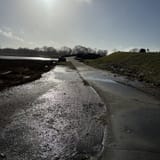 Colt State Park Loop, Rhode Island - 639 Reviews, Map | AllTrails