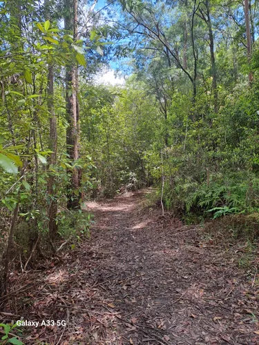 Best Hikes and Trails in Mapleton Conservation Park | AllTrails