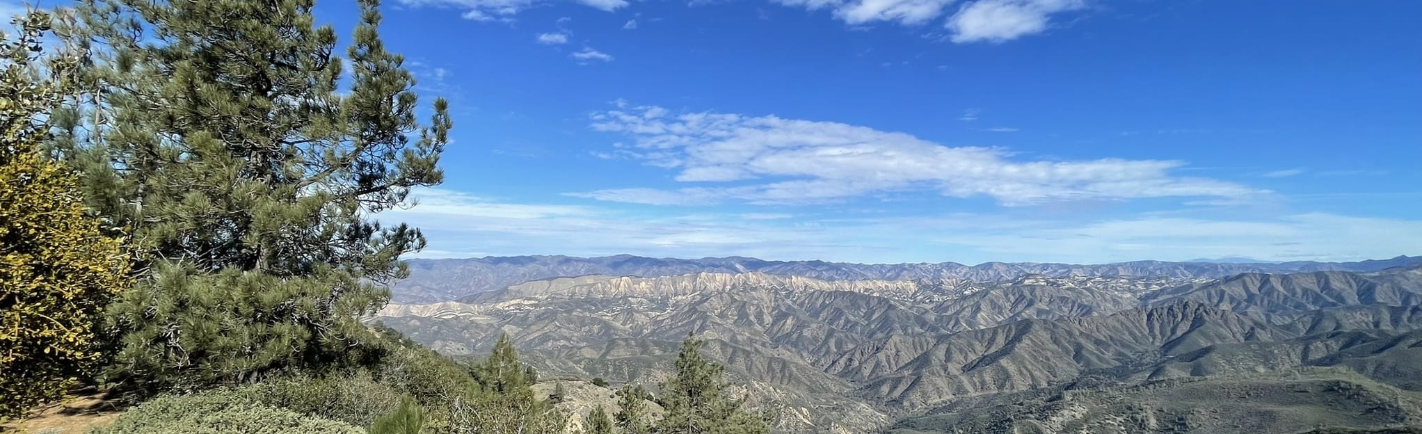 Figueroa Mountain, California - 261 Reviews, Map | AllTrails