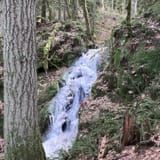 Chuckanut Falls, Washington - 610 Reviews, Map | AllTrails