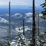 Mount Rose Trail, Washington - 1,431 Reviews, Map | AllTrails