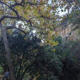 Temescal Canyon Trail, California - 9,618 Reviews, Map | AllTrails