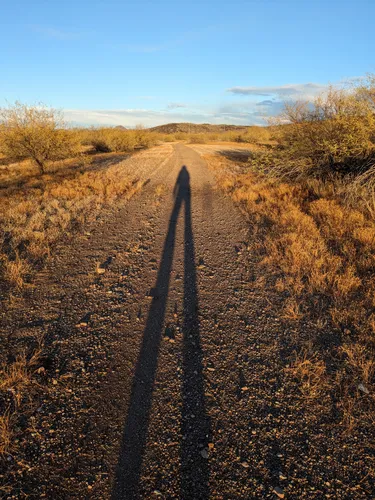 Best Hikes and Trails in Adobe Dam Regional Park | AllTrails