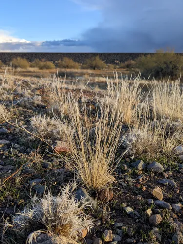 Best Hikes and Trails in Adobe Dam Regional Park | AllTrails