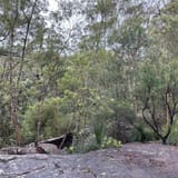 Pennant Hills Circuit, New South Wales, Australia - 482 Reviews, Map ...