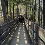 Dukes Creek Trail, Georgia - 2,960 Reviews, Map | AllTrails