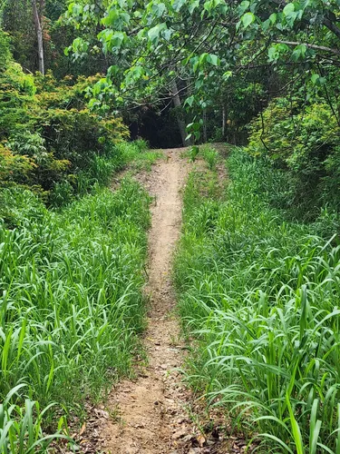 Best Hikes and Trails in Trinity Beach | AllTrails