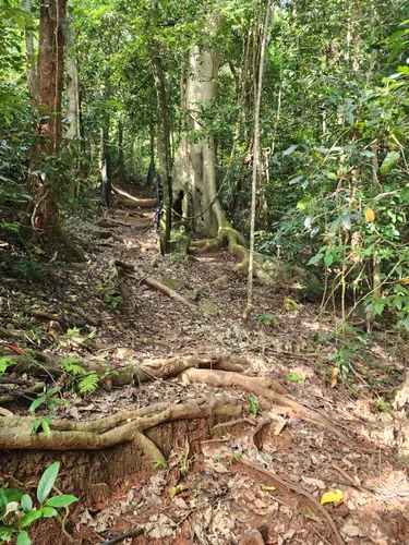 Best Hikes and Trails in Trinity Beach | AllTrails