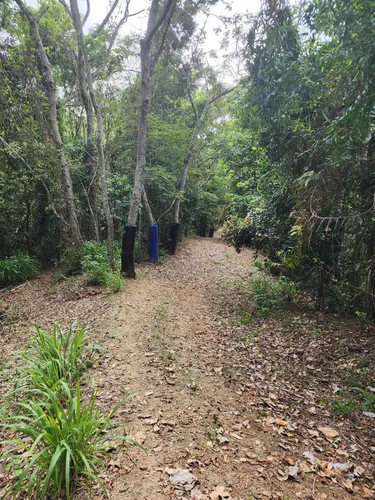 Best Hikes and Trails in Trinity Beach | AllTrails