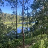 Enoggera Reservoir Circuit, Queensland, Australia - 1,540 Reviews, Map ...