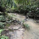 Bukit Saga Waterfall via Trek C, Selangor, Malaysia - 266 Reviews, Map ...