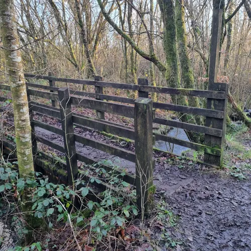 Best Hikes and Trails in Parc Slip Nature Reserve | AllTrails