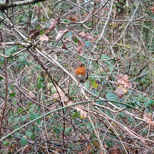 Best Hikes and Trails in Parc Slip Nature Reserve | AllTrails