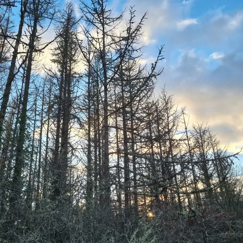 Best Hikes and Trails in Parc Slip Nature Reserve | AllTrails