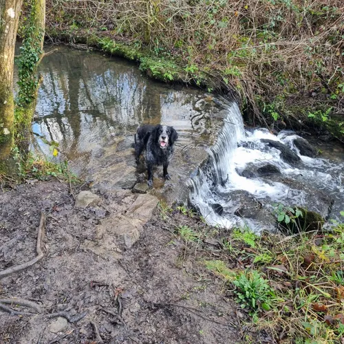 Best Hikes and Trails in Parc Slip Nature Reserve | AllTrails