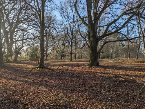 Best Hikes and Trails in Baddesley Common and Emer Bog Nature Reserve ...