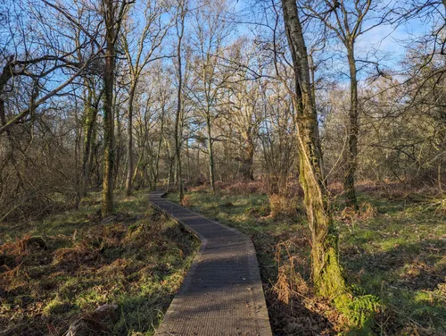 Best Hikes and Trails in Baddesley Common and Emer Bog Nature Reserve ...