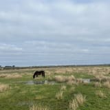 Lymington and Keyhaven Marshes Circular, Hampshire, England - 439 ...
