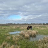 Lymington and Keyhaven Marshes Circular, Hampshire, England - 439 ...