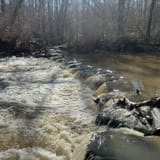 Difficult Run Trail, Virginia - 694 Reviews, Map | AllTrails