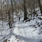 White Oak Trail to Cranny Crow Overlook, West Virginia - 558 Reviews ...