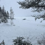 Wolf Pond, New York - 214 Reviews, Map | AllTrails